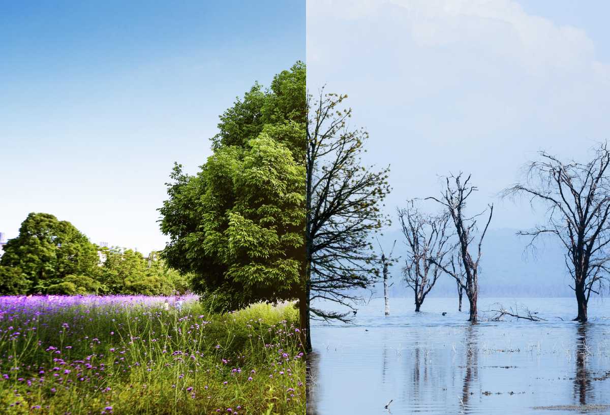 Apa itu Climate Change? Penyebab dan Solusinya