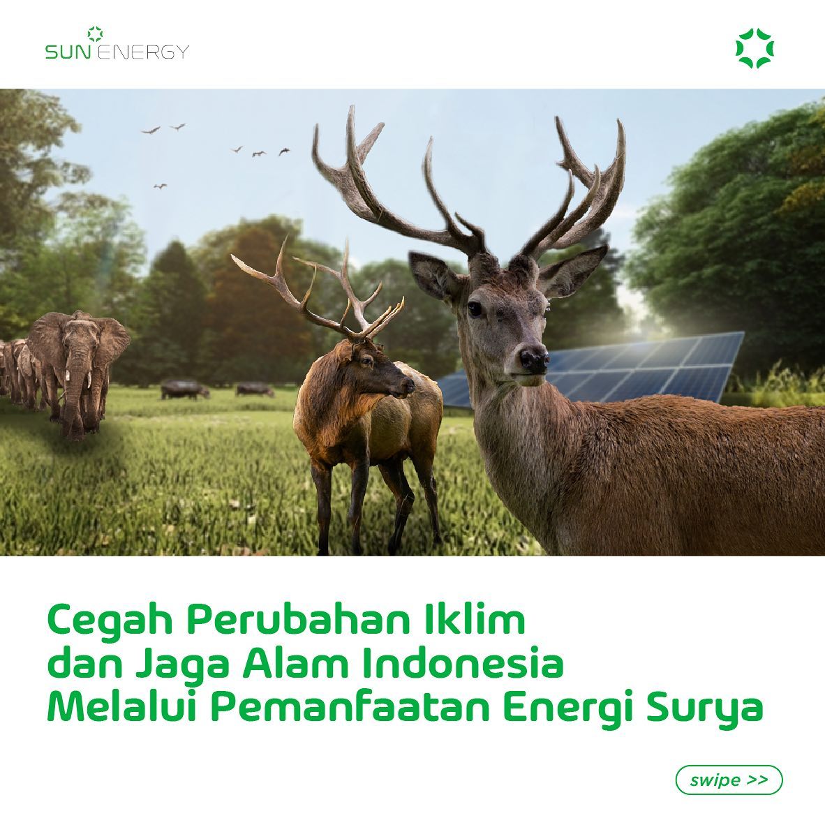 SUN Energy